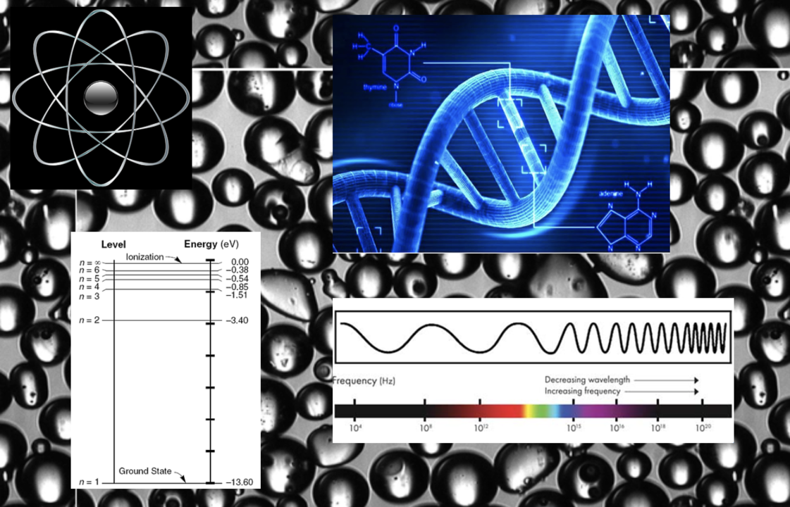The Quantum World, Rife Machines & Lyme Disease | Madison Area Lyme ...