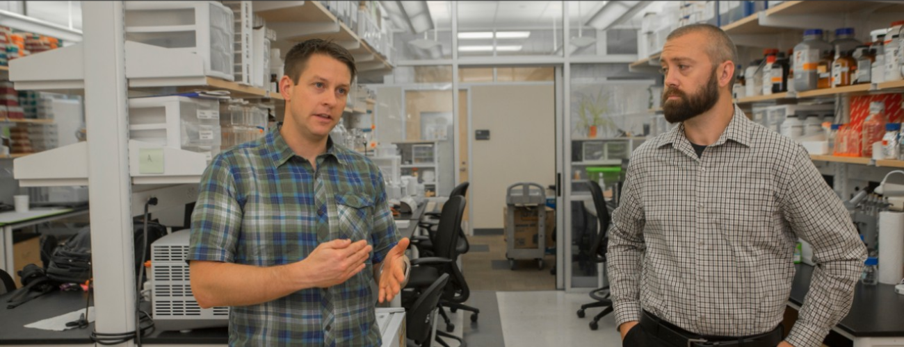 UC Study: Hungry Ticks Work Harder to Find You | Madison Area Lyme ...