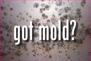 Mold Avoidance Podcasts | Madison Area Lyme Support Group